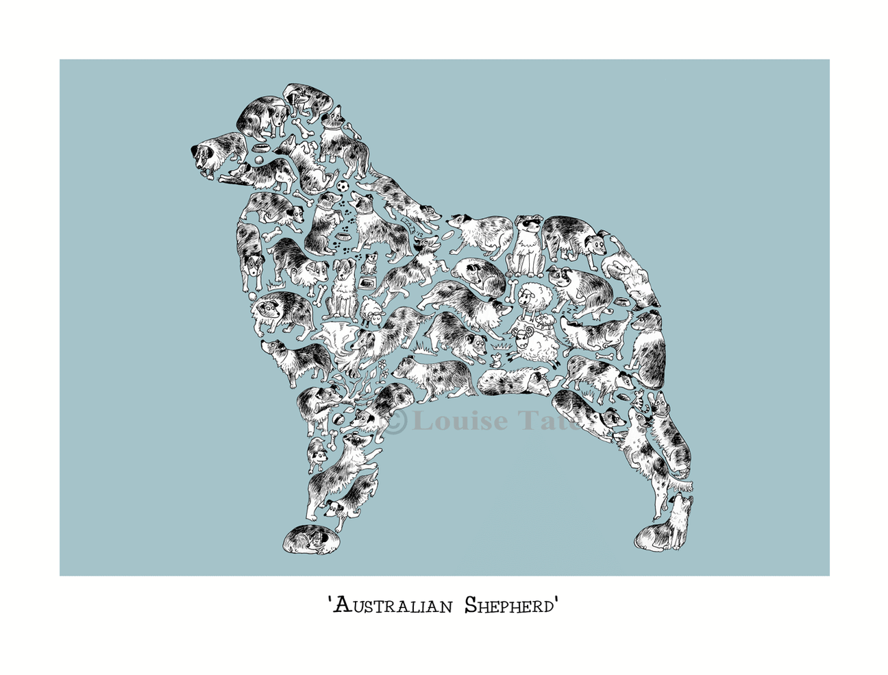 Pointer – Louise Tate Illustration