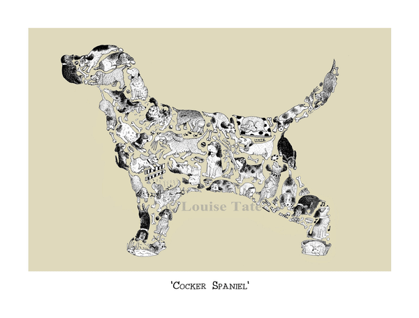 Cocker Spaniel art print – Louise Tate Illustration