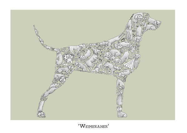Weimeraner dog print – Louise Tate Illustration
